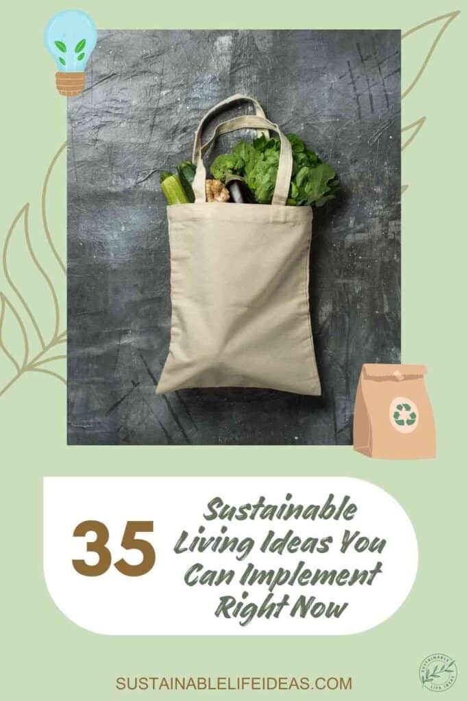 35 Best Sustainable Living Ideas - sustainablelifeideas.com