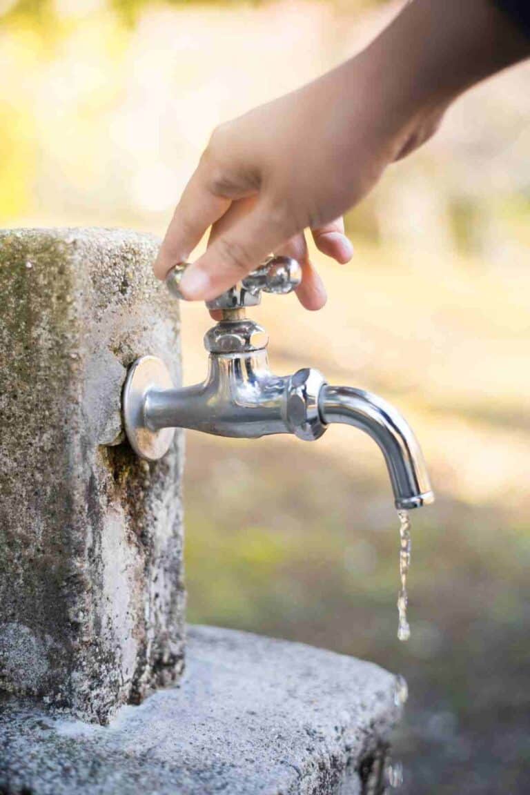A Beginner’s Guide to Living More Sustainably - sustainablelifeideas.com
