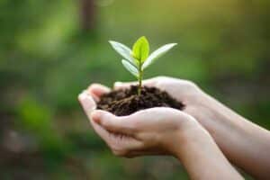 What Is Sustainable Living? - sustainablelifeideas.com