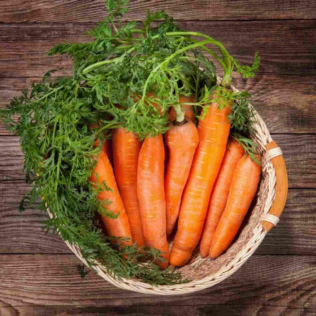 Discover the 10 Easiest Foods to Grow - sustainablelifeideas.com